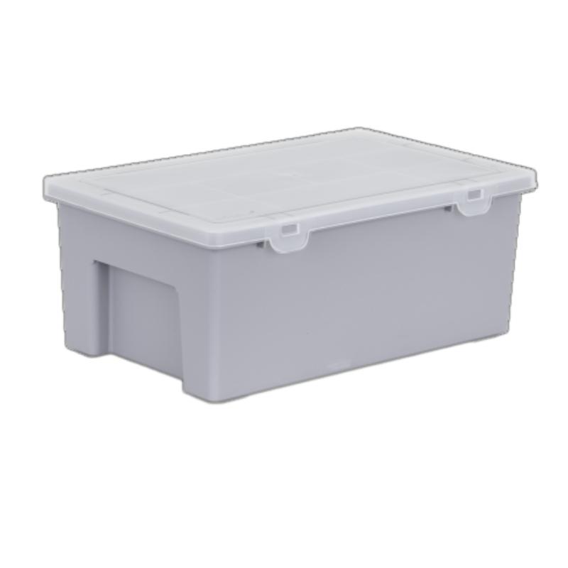 Buy Wham organizer box 8 division | Jinius
